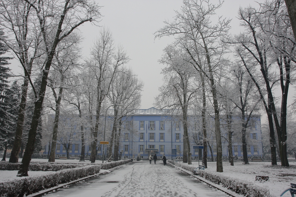 University of Banja Luka | UNIBL